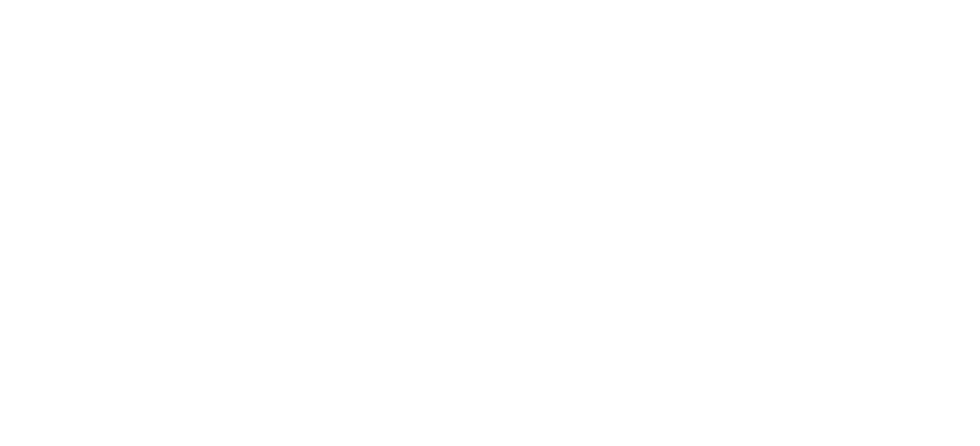 Radius BZ1 - Gas Detection Australia